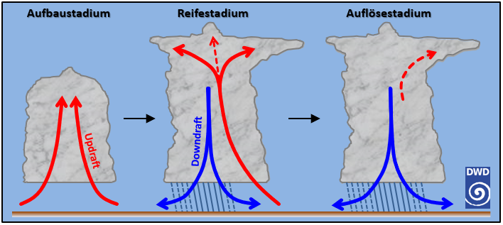 Kleine Gewitterkunde - Teil 1: Die Einzelzelle - Wetterdienst.de