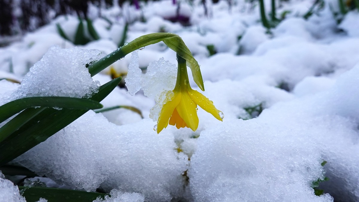 Winter-Comeback - Wetterdienst.de
